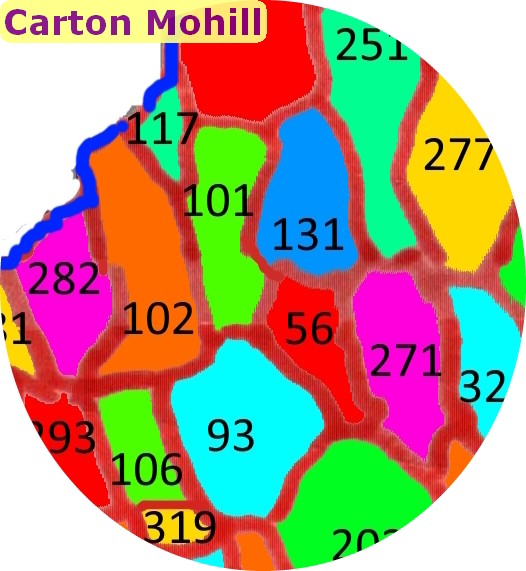 Your Leitrim Ancestors - Townland Maps